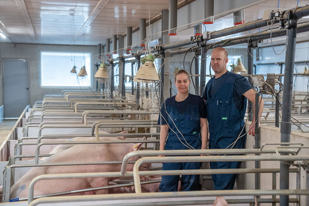 Zelf SPF-opfokzeugen produceren vergt vlijmscherpe focus op hygiëne ...