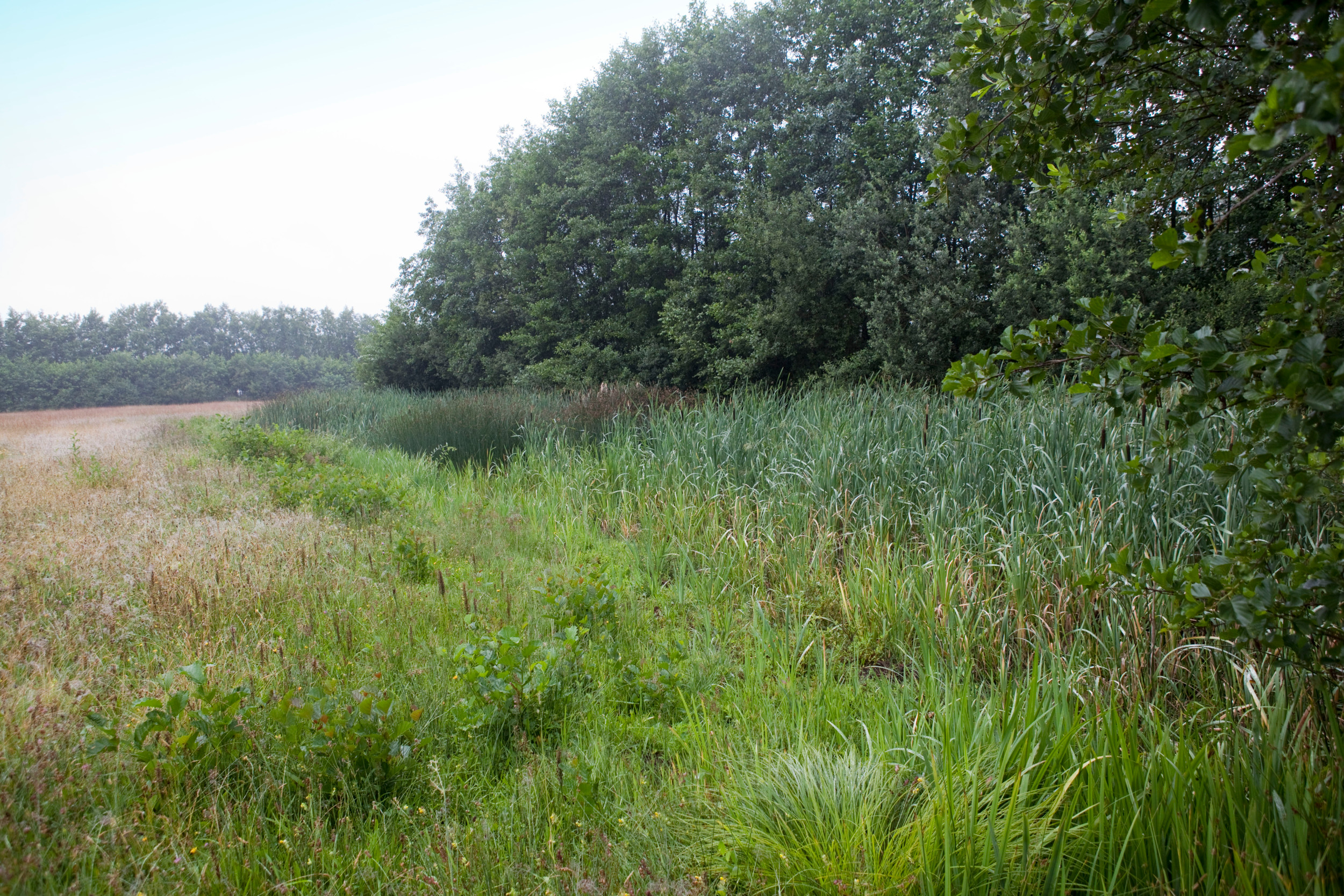 Natuurbeheerders schikken voor € 80 miljoen met grondeigenaren - Boerderij