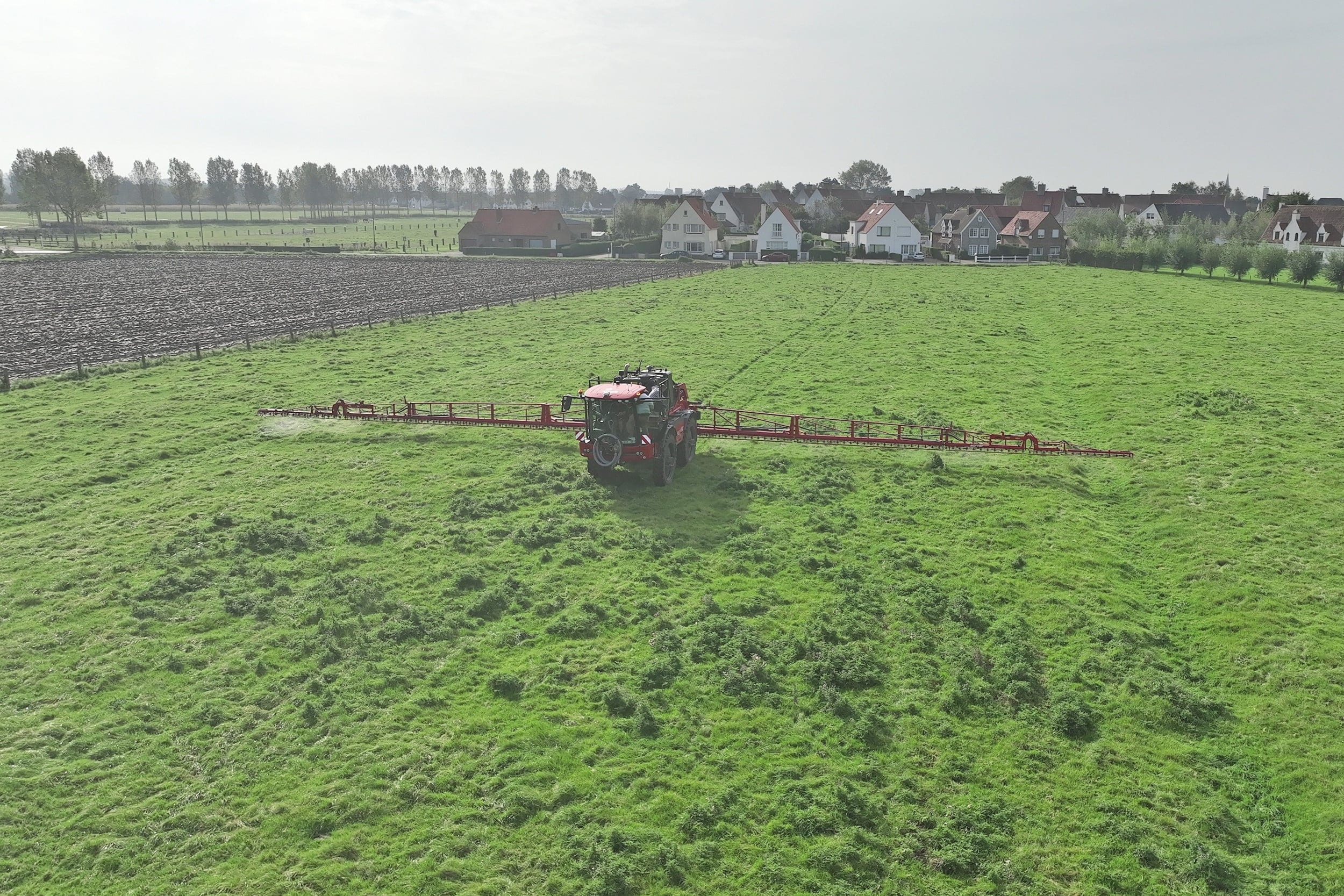 Ridderzuring per plant bestrijden gaat met sprongen vooruit - Boerderij