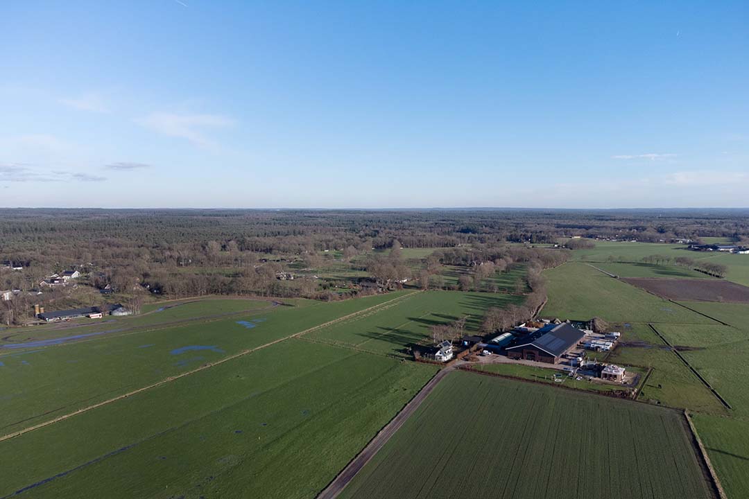 ‘Intensieve belangstelling voor stoppende veehouder’ - Boerderij
