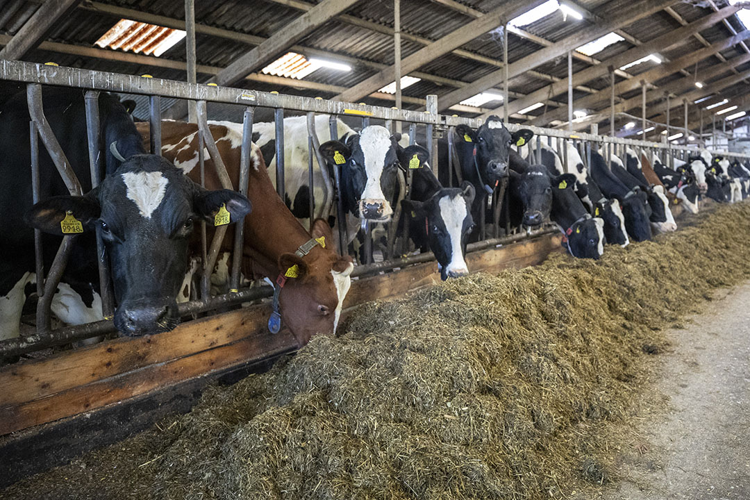 Nationaal Plan Landelijk Gebied in handen volgend kabinet - Boerderij