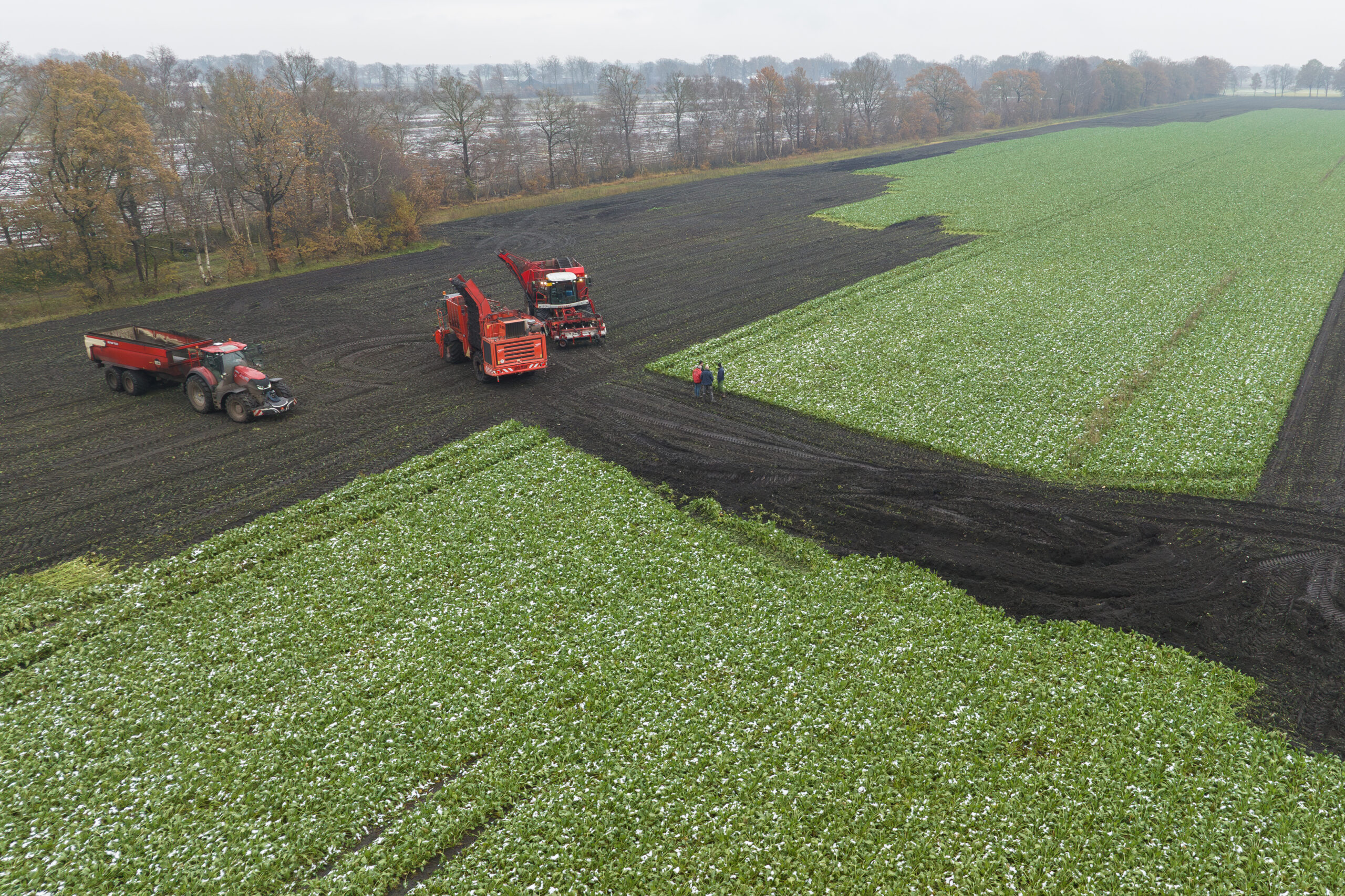 Oogst laatste percelen gaat ongekend moeizaam - Boerderij