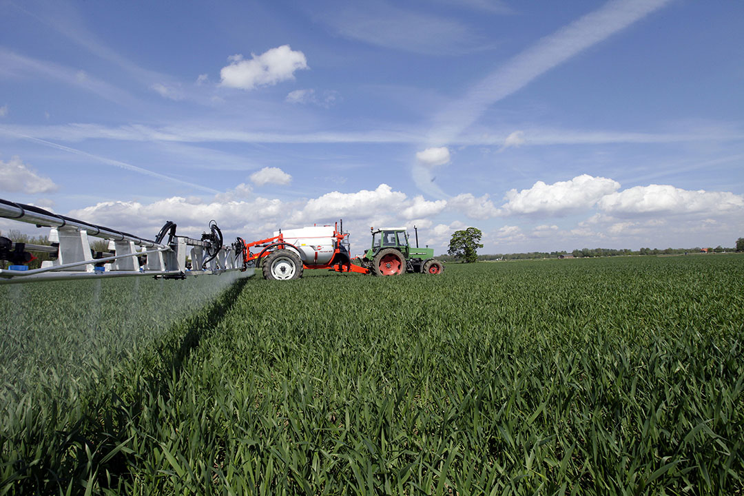 Nieuw beslisondersteunend systeem voor vergelingsziekte in graan ...