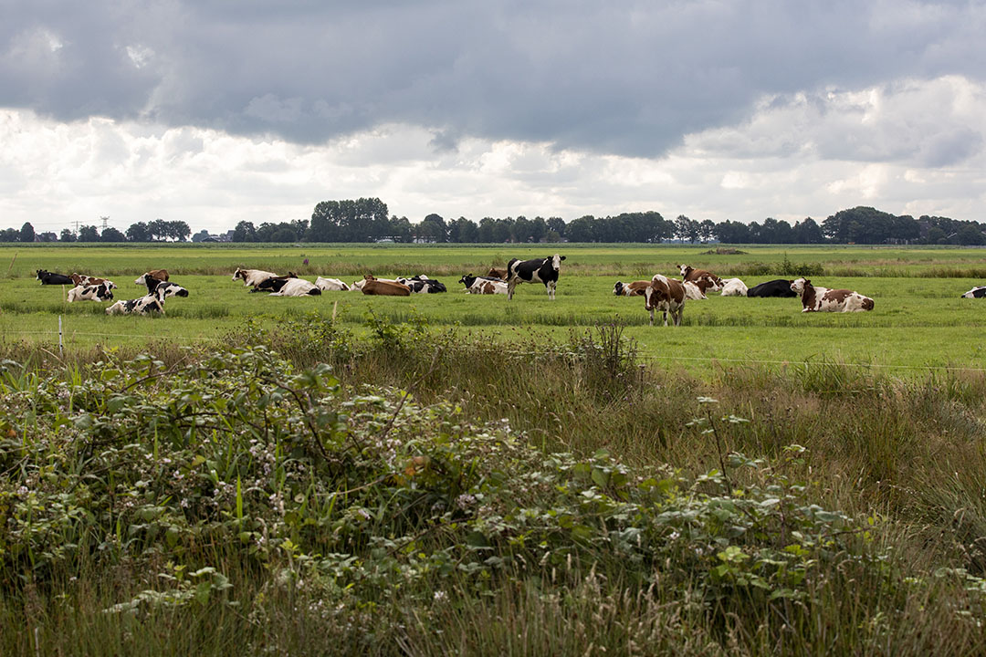 ‘Staat van de natuur’ in plaats van KDW uiterst complex - Boerderij