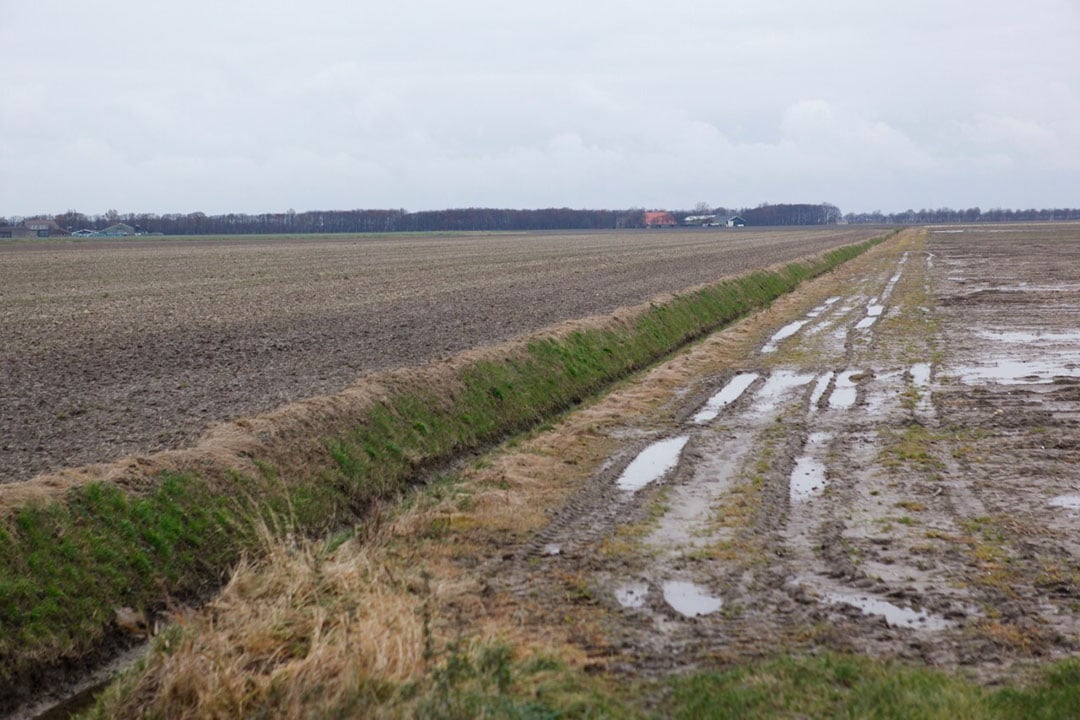 Prijzen landbouwgrond stegen in 2022 met 9,4% - Boerderij