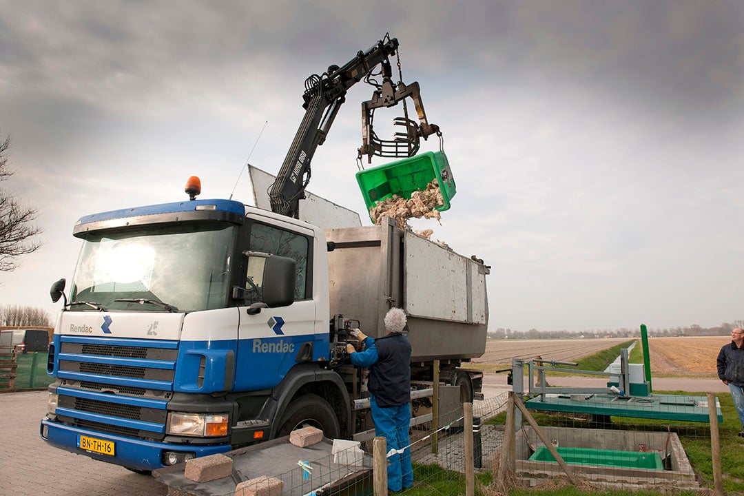 Verkenning naar tweede partij naast Rendac - Boerderij