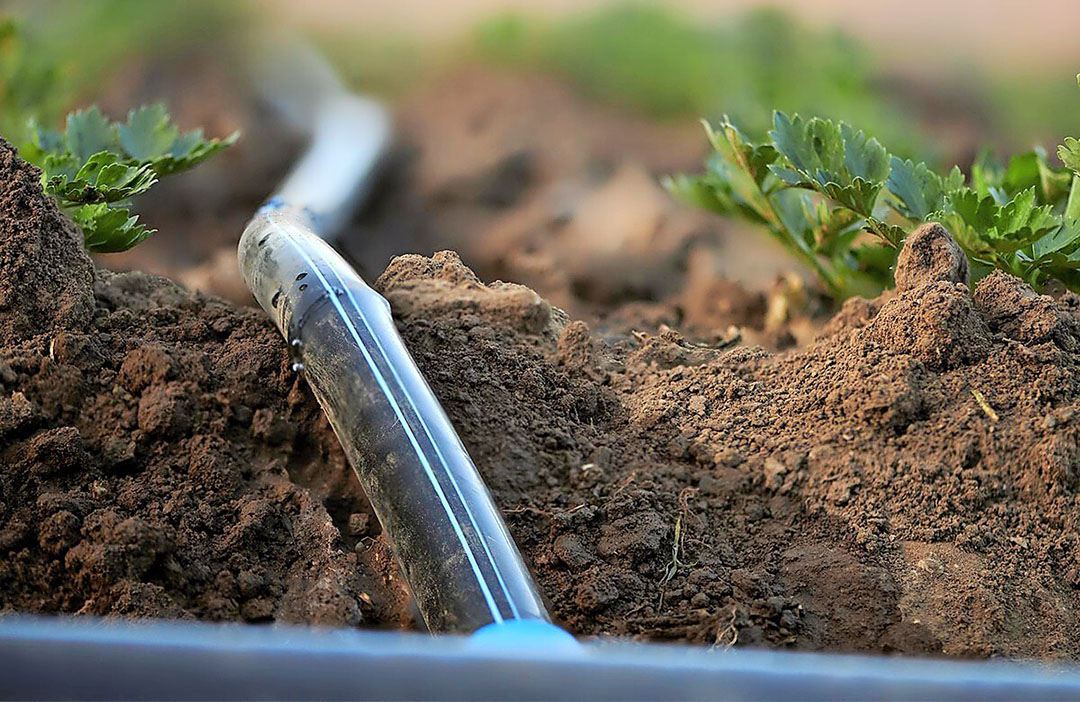 Veha Plastics en Jean Heybroek samen tegen droogte - Boerderij