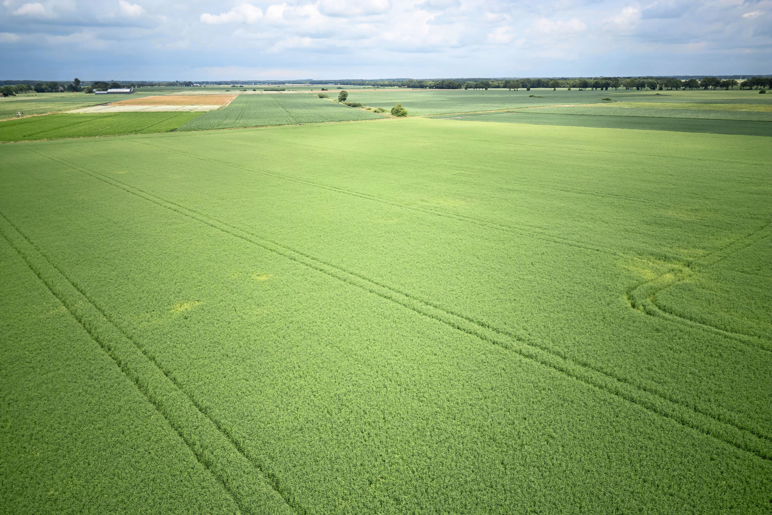 Geen hoger GLB-voorschot van 70% voor Nederlandse boeren - Boerderij