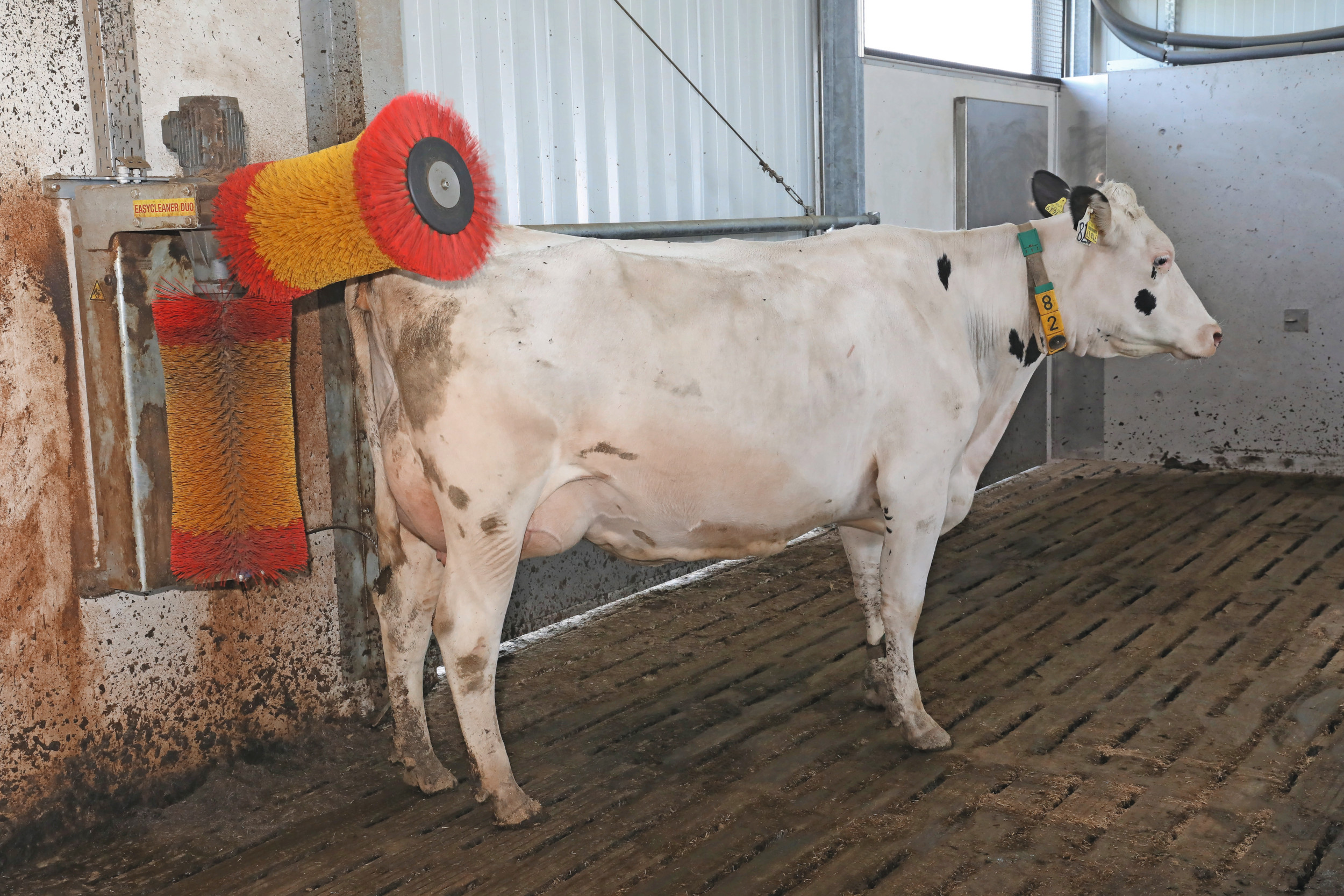 ‘Ik wil niet naar de boerderij ruiken’ - Boerderij