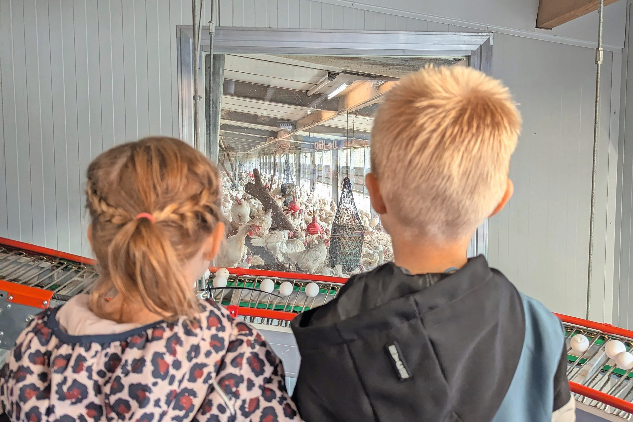 Wereld Eidag: 11 oktober met open dag, magazine en derde kunst-ei ...