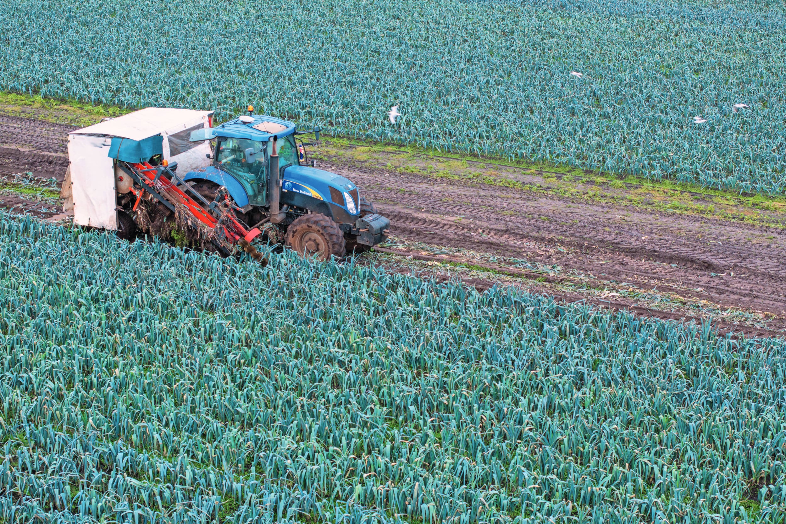 Van bio naar BD: akkerbouwer Arjan Prins gaat naar gesloten kringloop ...