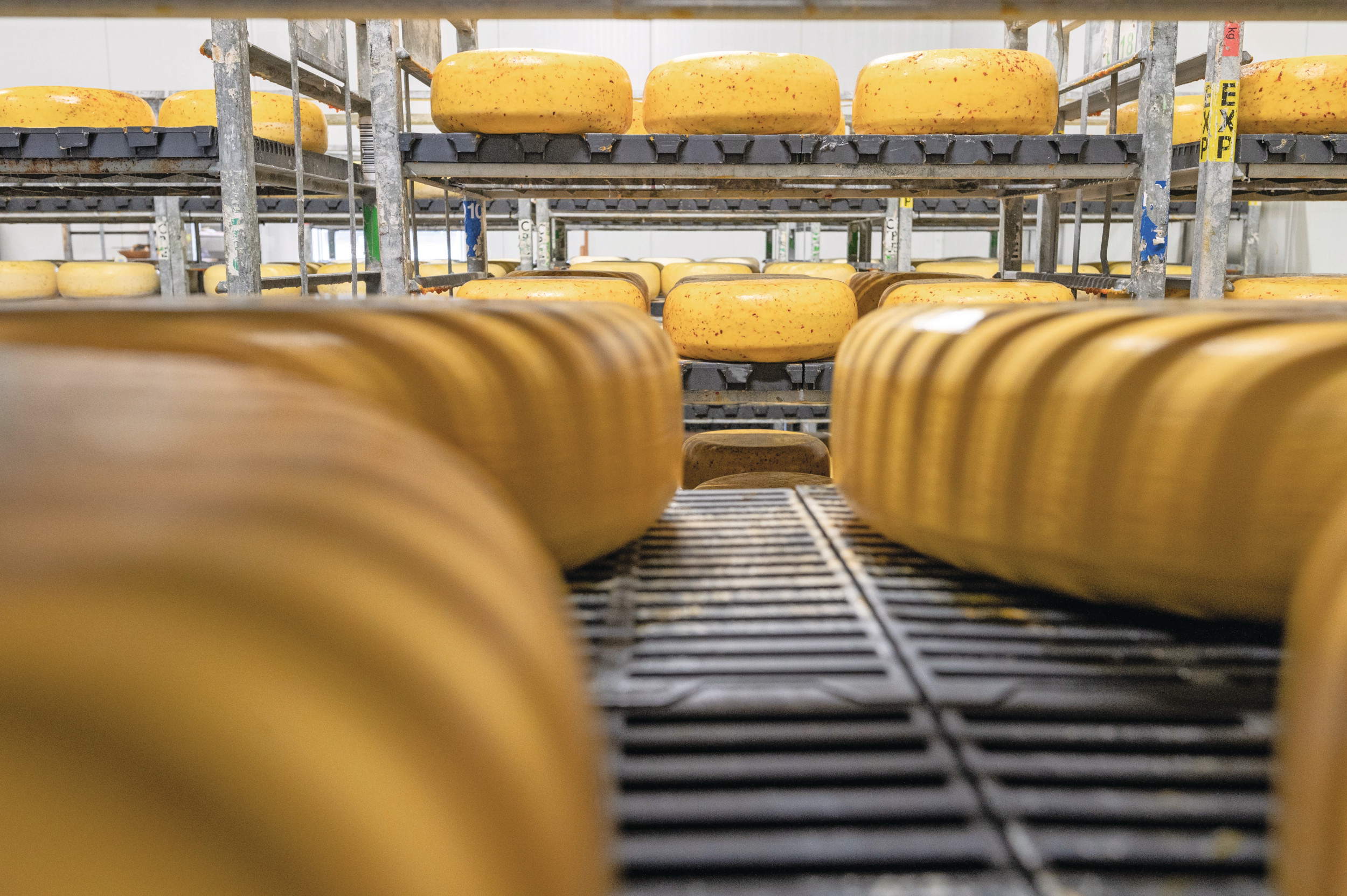 Voeding en dieren vormen uitzondering bij dalende exportwaarde naar VS ...