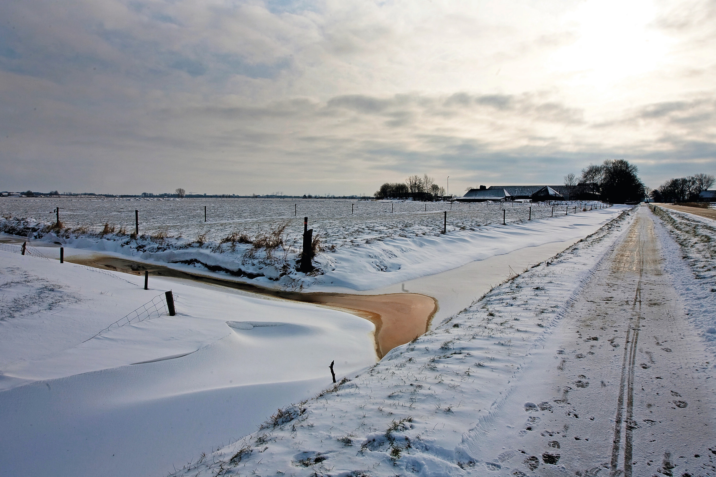 Klein aantal FrieslandCampina-boeren laat melk weglopen door ...