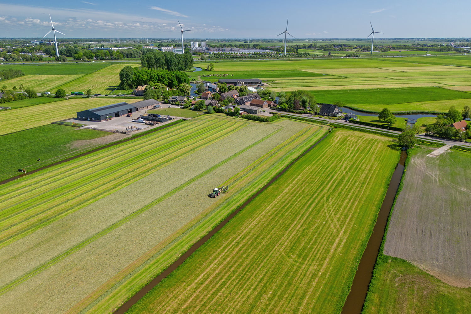 Investeren in Nederlandse landbouwgrond - Boerderij