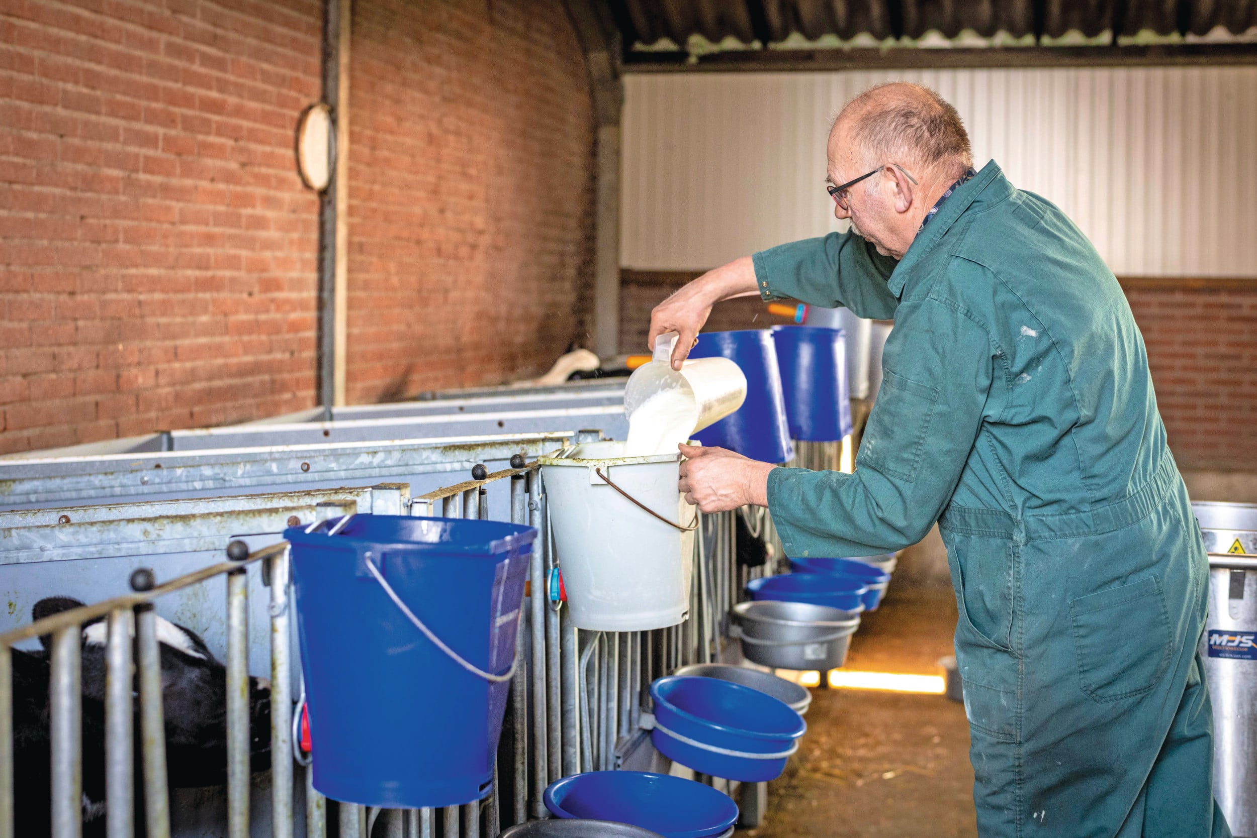 Hygiëne bij melkverstrekking kalveren: 77% van emmers niet kiemvrij ...
